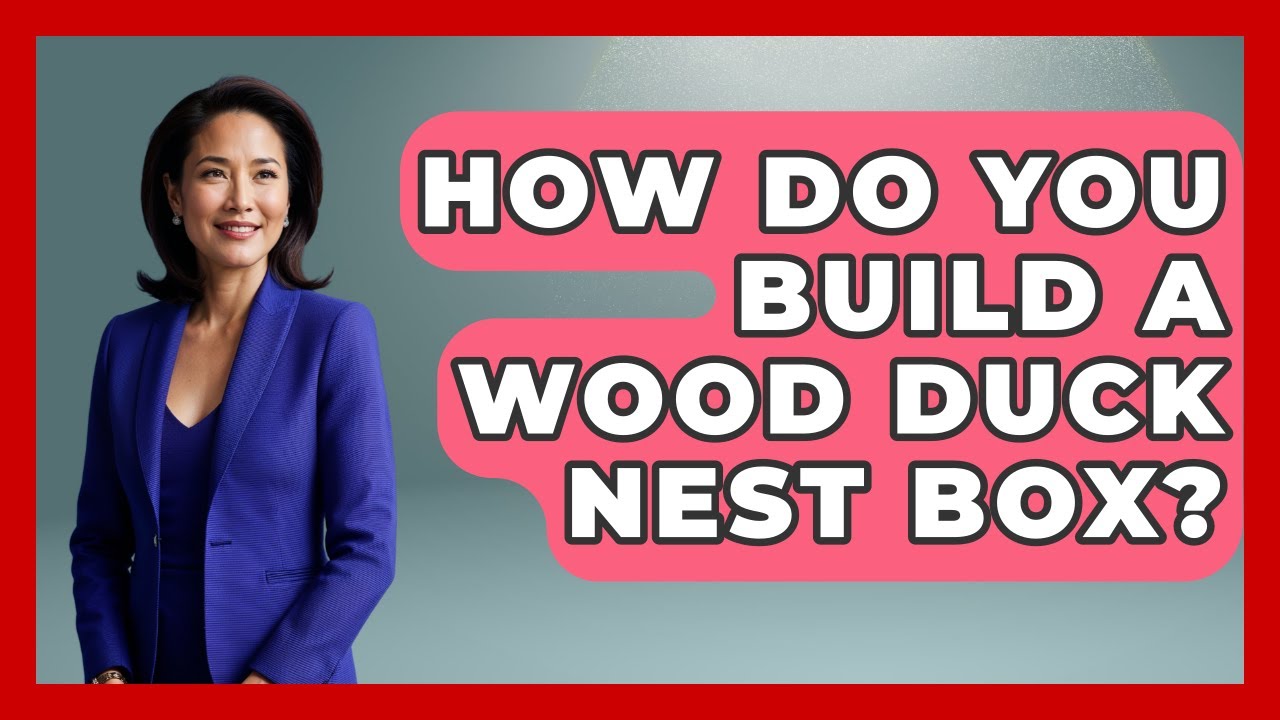 How Do You Build A Wood Duck Nest Box? - Bird Watching Diaries - YouTube