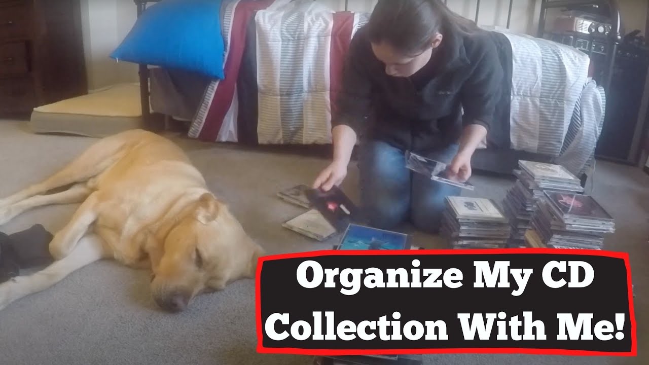 Putting My CD Collection In Alphabetical Order - YouTube