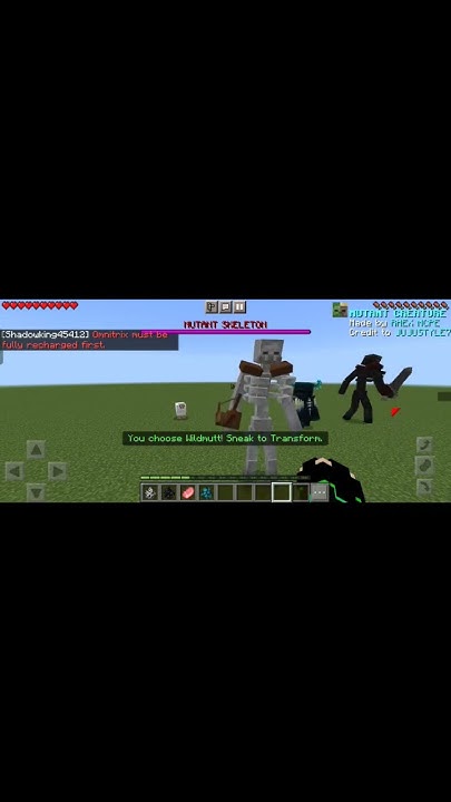Minecraft Mutant Wither Skeleton And Skeleton Vs 1 Wardenwarden