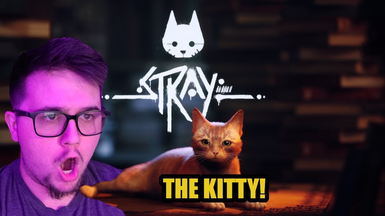 DaddyDitto Plays Stray Episode 1! - YouTube