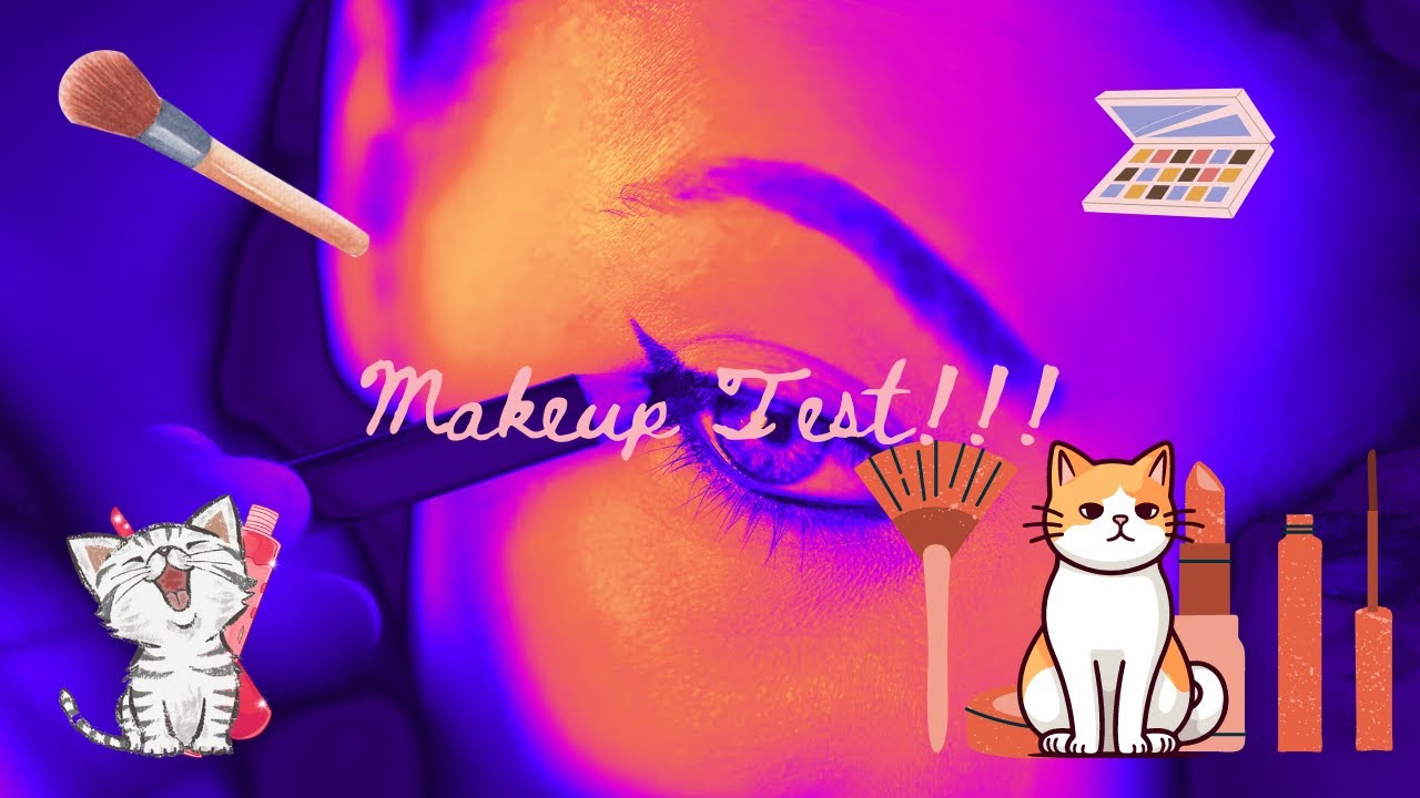 A Beginner's Makeup Routine (FT My Cats Cindy and Cali!) - YouTube