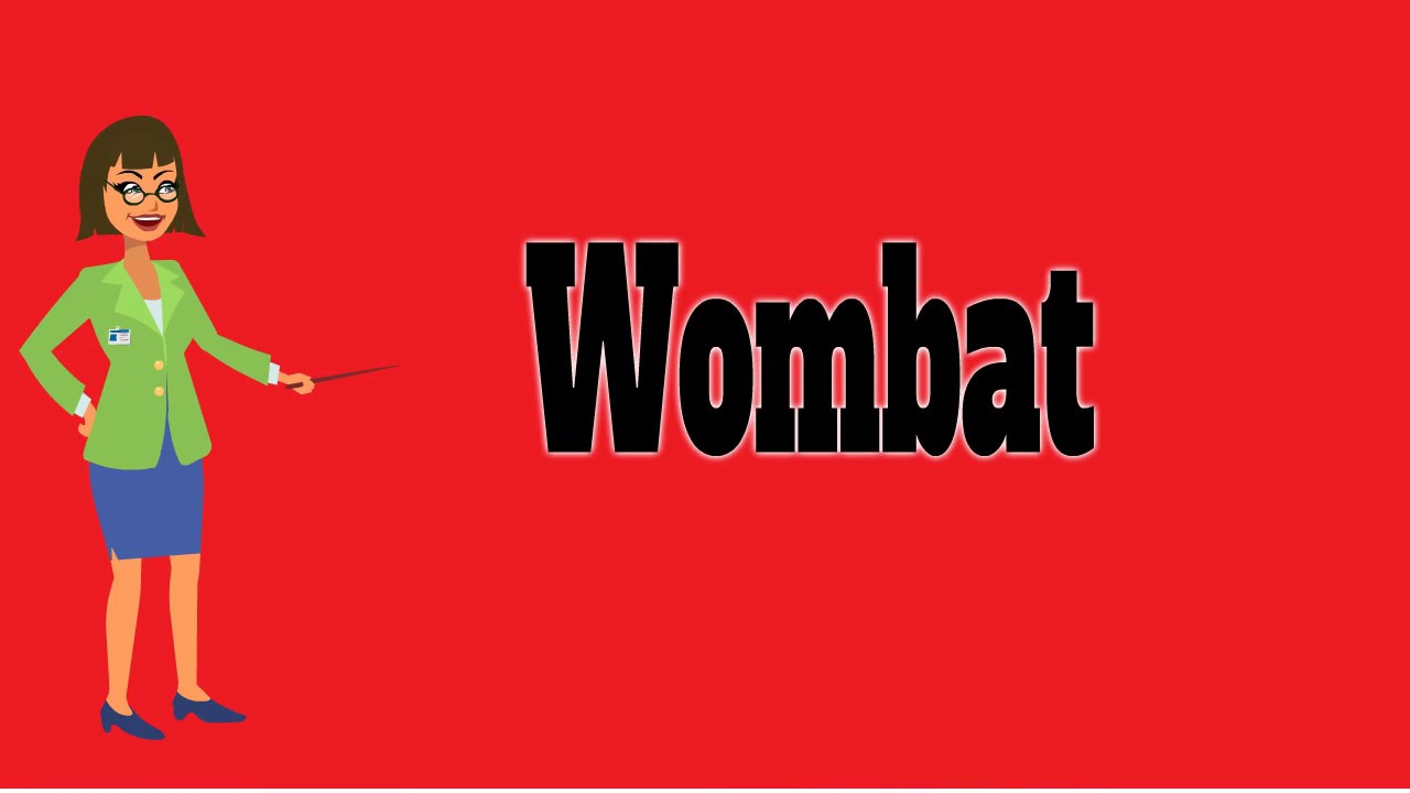 Wombat | Pronunciation | Meanings | Examples | Definition | Animals ...