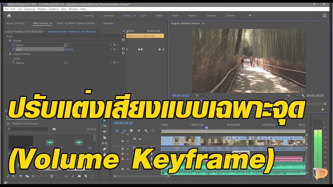 Chapter14-ปรับแต่งเสียงแบบเฉพาะจุด (Volume Keyframe).mp4 - YouTube