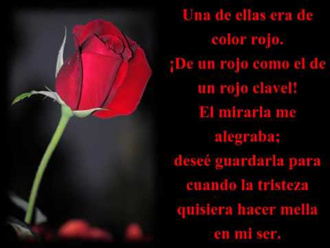 MIS TRES ROSAS (Poema con voz) - YouTube
