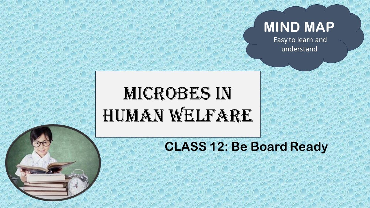Mind Map: Microbes in Human Welfare #mindmap #board2024 #easy #class12 ...