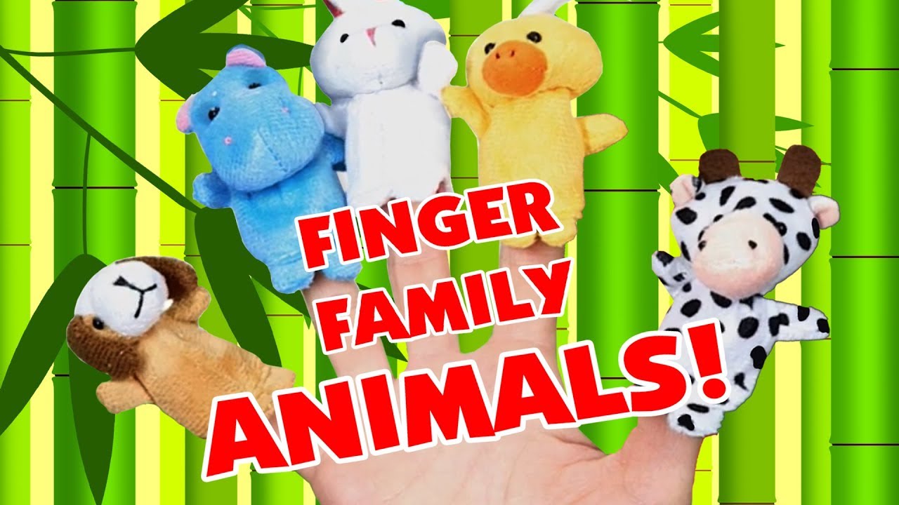 Finger Family ANIMALS Song | Pocket Preschool - YouTube