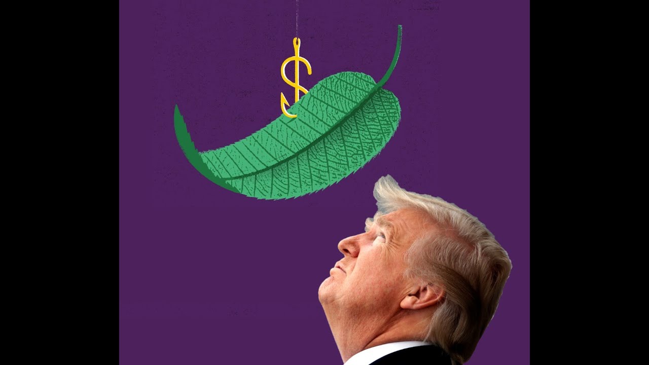 Green new scam. - YouTube