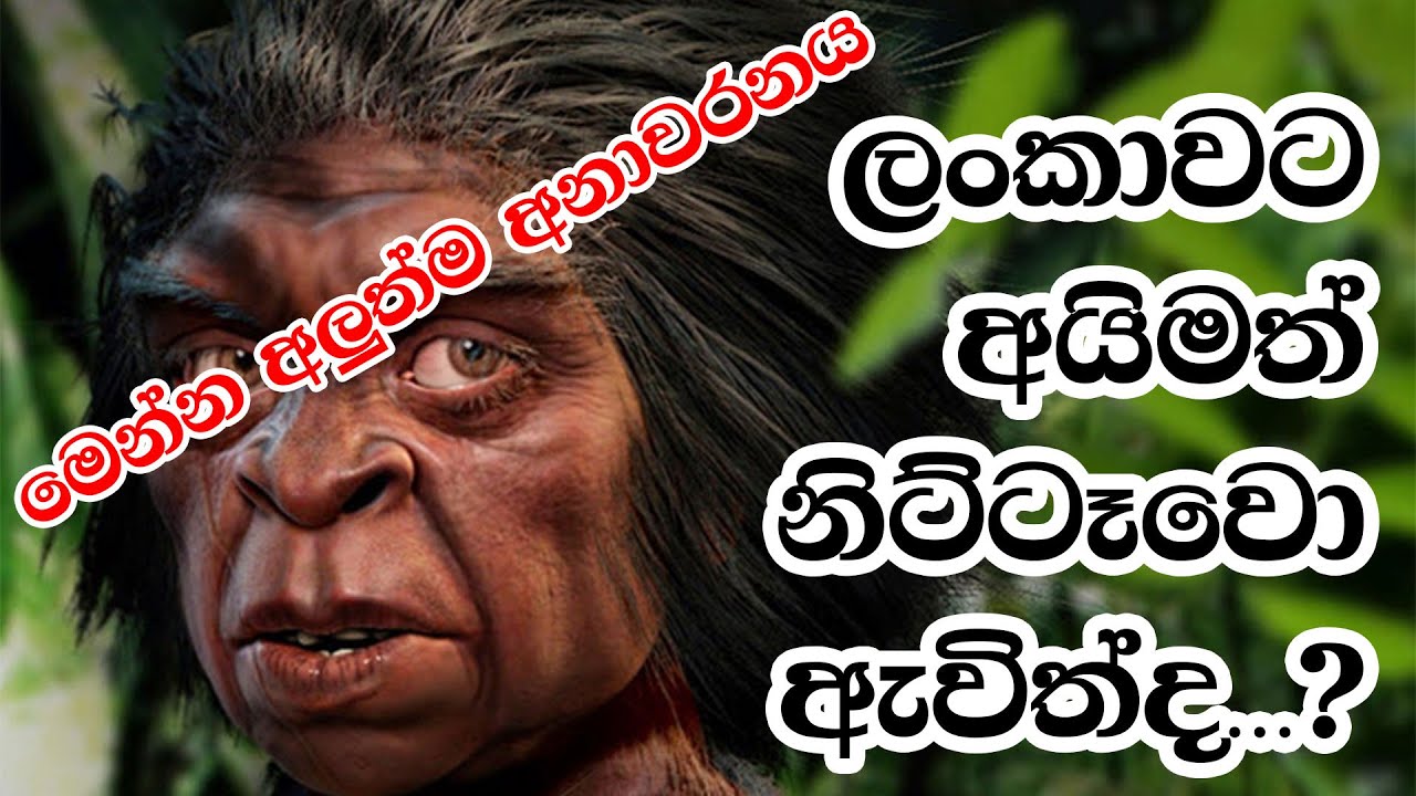 Nittawo | Matara Incident | Truth of the Story - YouTube