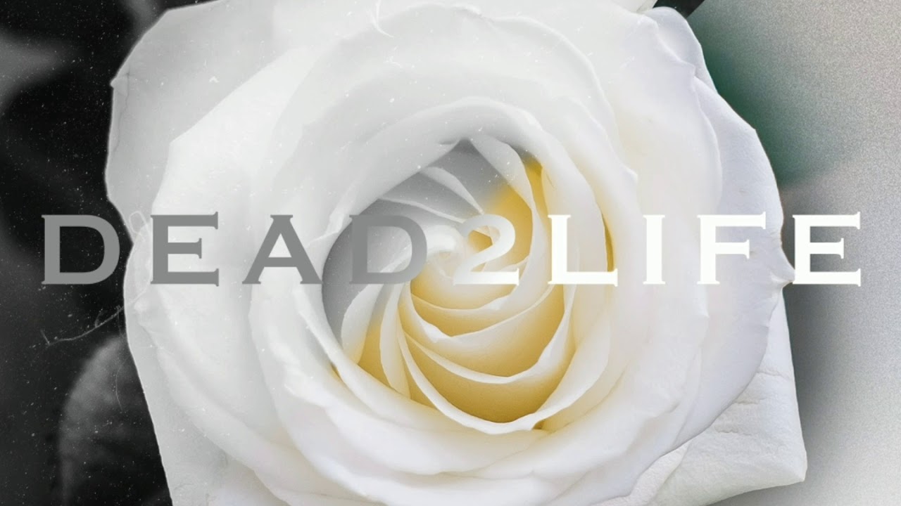 DEAD2LIFE - Dustin Starks - YouTube