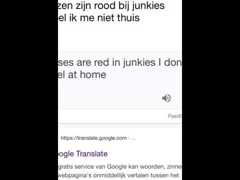 er zit een duif in mijn huis - rozen zijn rood meme - YouTube