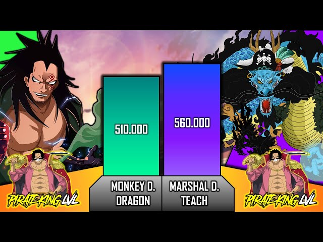 One Piece Monkey D Dragon Vs Mihawk