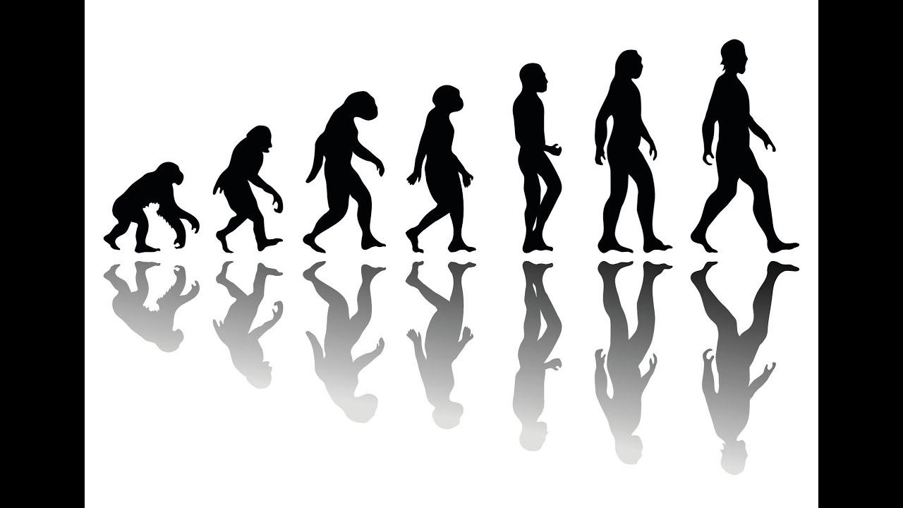 Evolution (Science Vs Religion) - YouTube