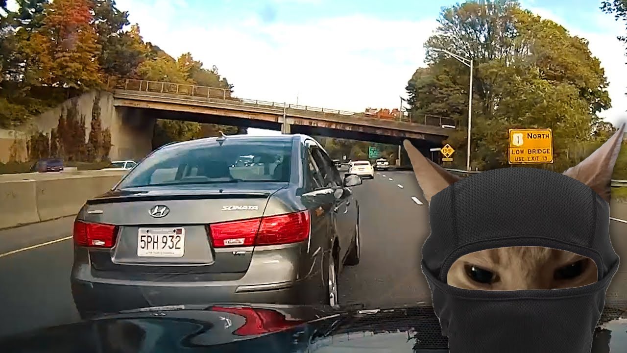 what happens when you let @TheStolenF8x drive your car - YouTube