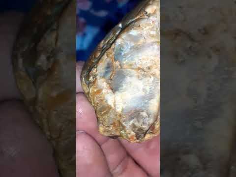 ambergris balina kusmuğu 141.7 gram antalyadan safir diye hediye gelmişti ama banlina kusmuğudur