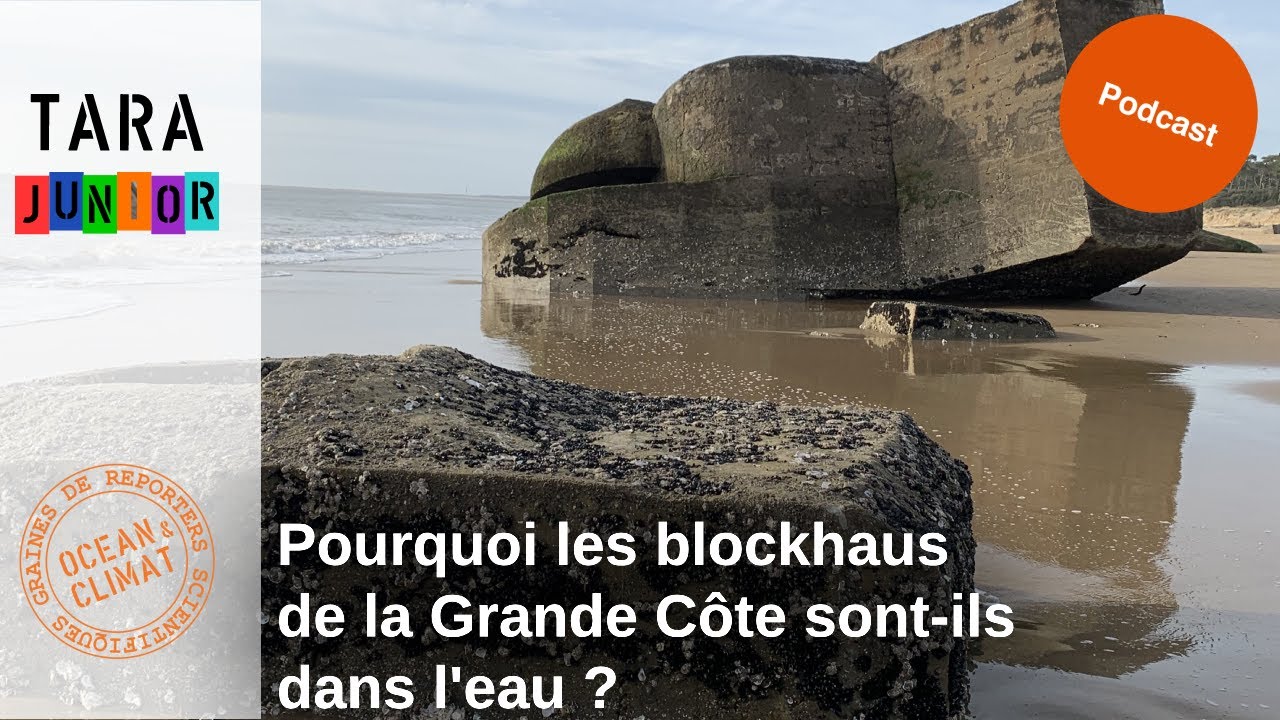Pourquoi les blockhaus de la Grande Côte sont-ils dans l'eau ? - YouTube