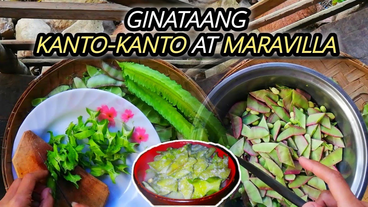 GULAY PROBINSYA | Ginataang Maravilla at Kalamismis | Daloi Vlog ...