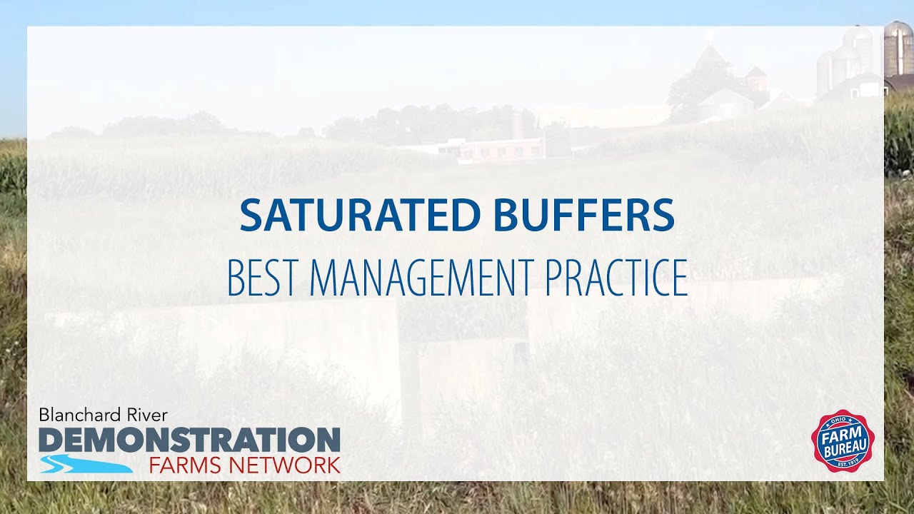 Saturated buffers - Best Management Practice - YouTube