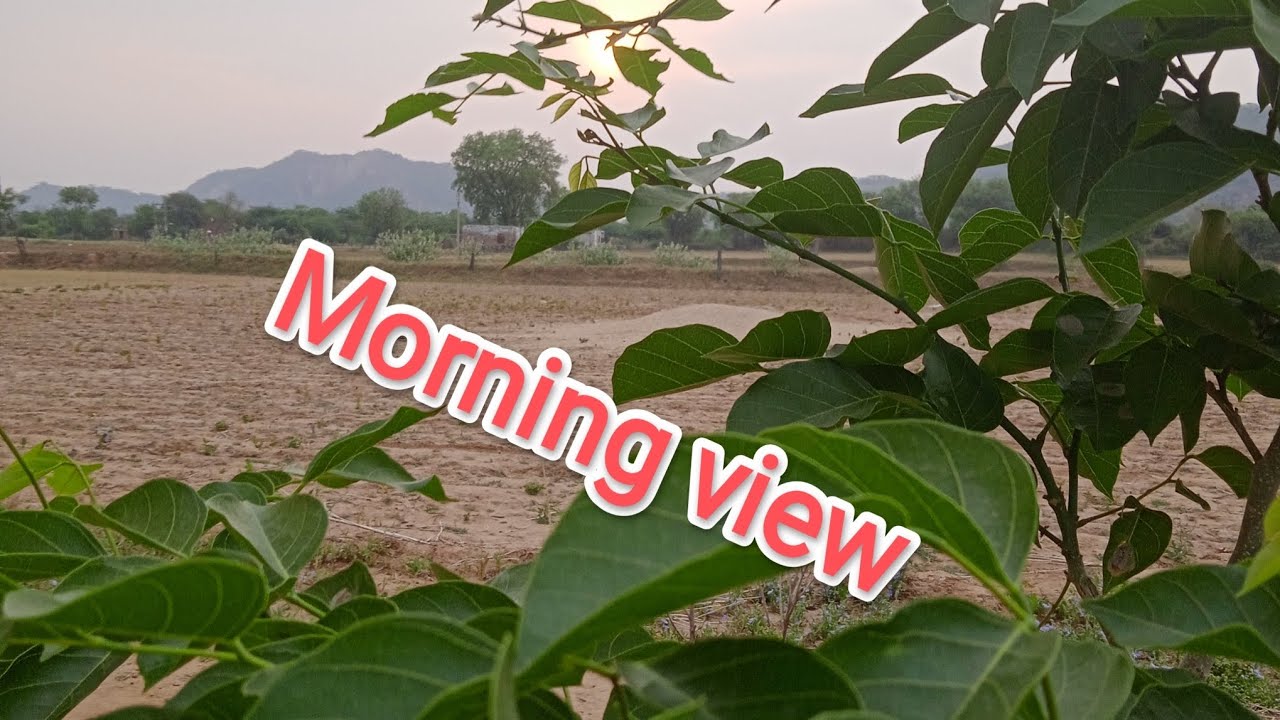 😱😱 Morning view 😊🌄🌄 #morining #goodmorning - YouTube