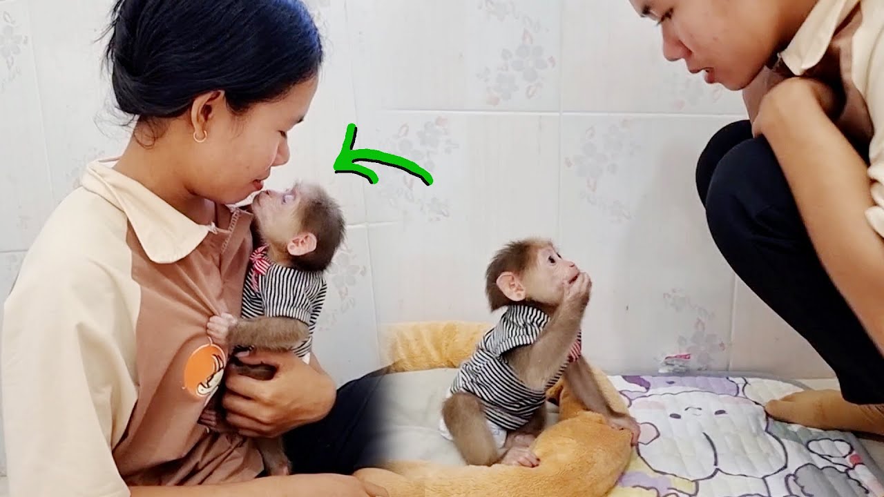 Extremely Adorable and Sweet BeeBoy Emotionally Communicate With Mom In ...