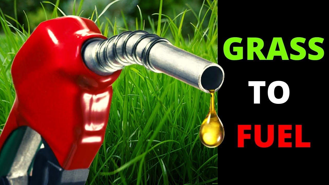 The Easy Way to make Your Own Petrol Using Grass at home ! 100% Success ...