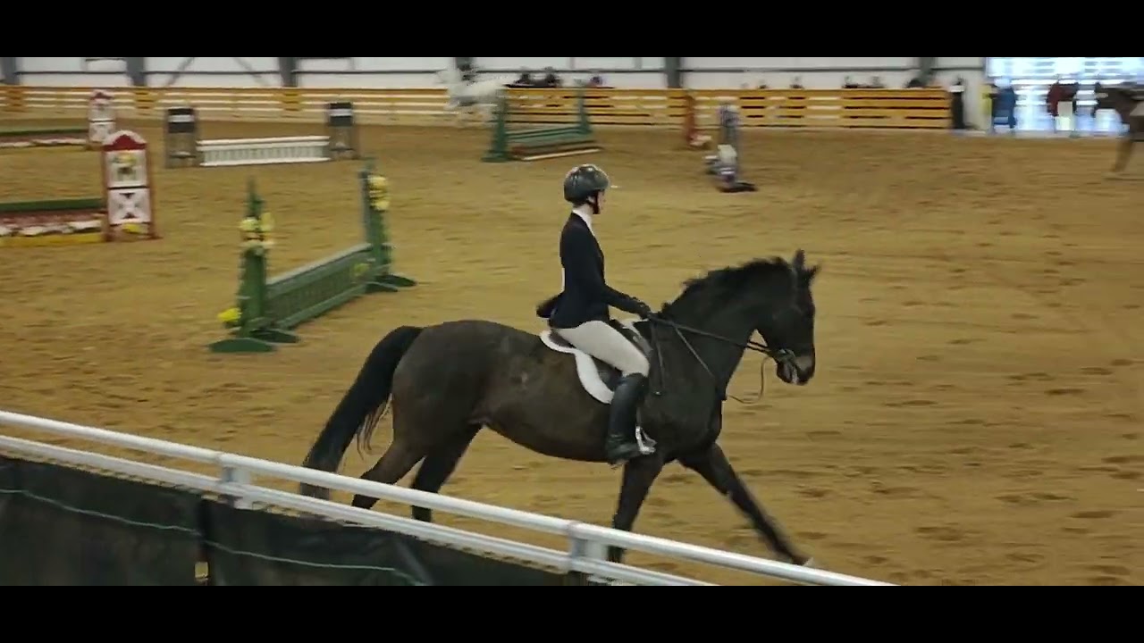 2023 IEA Zones Open flat class - YouTube