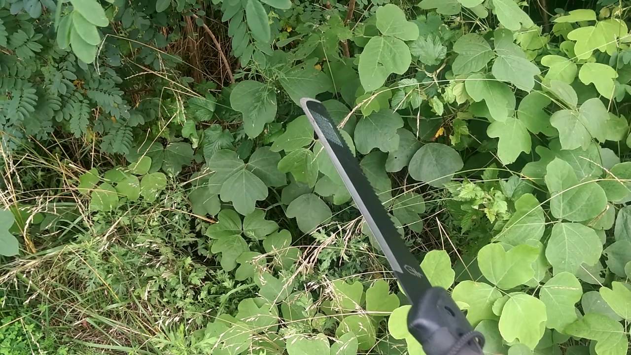 정글도 丛林也 ジャングル剣 Jungle sword - YouTube