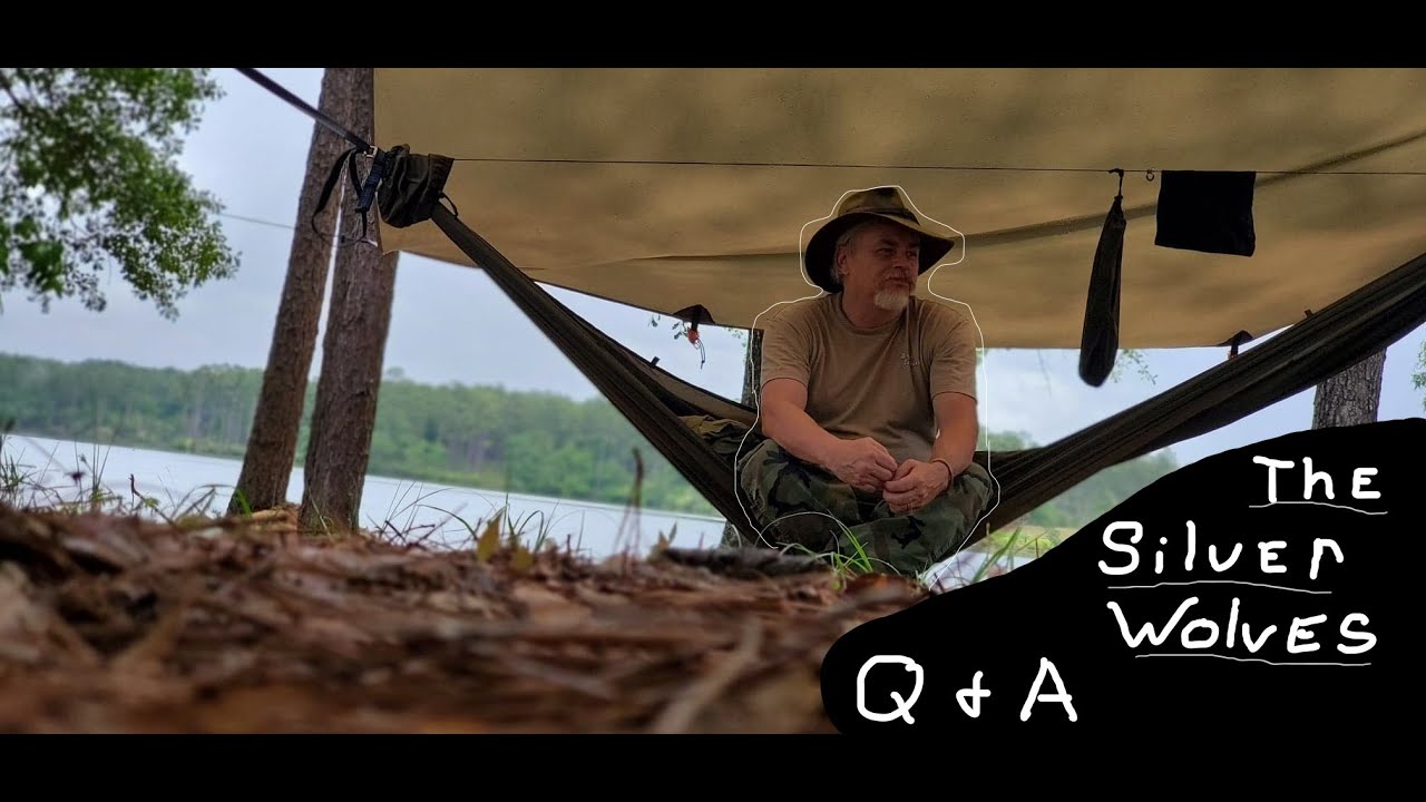 SILVER WOLVES Q & A - YouTube