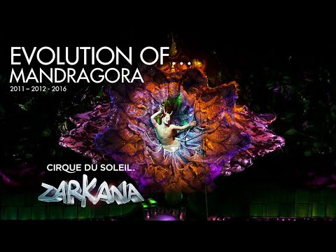 Evolution of... Mandragora | ZARKANA by Cirque du Soleil