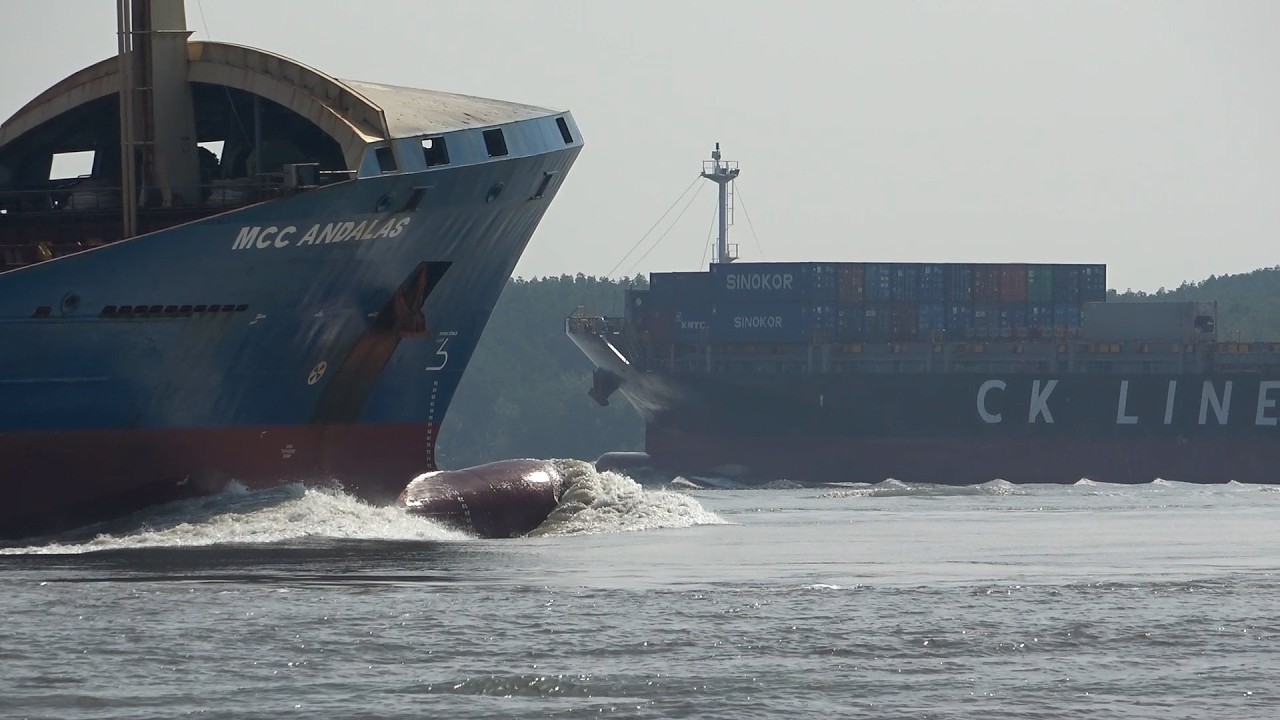 How Container Ships Navigate Narrow Channels | 4K Shipspotting - YouTube