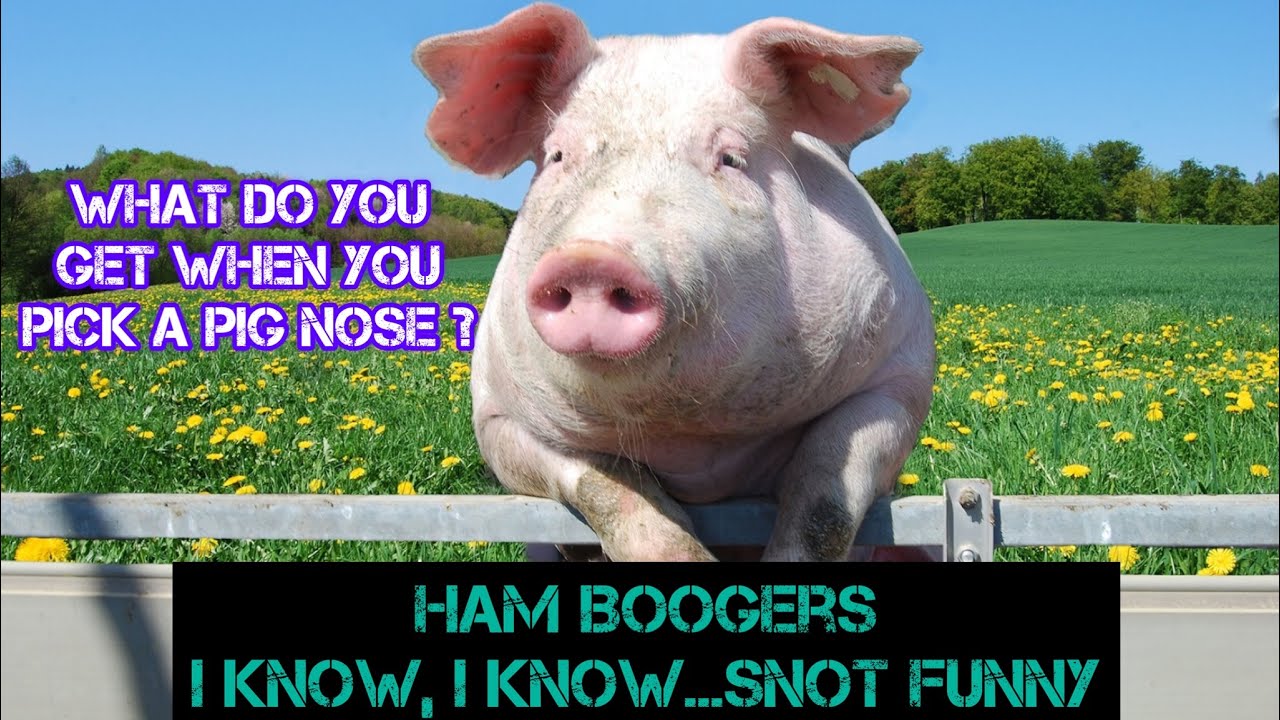 The Pig Joke - YouTube