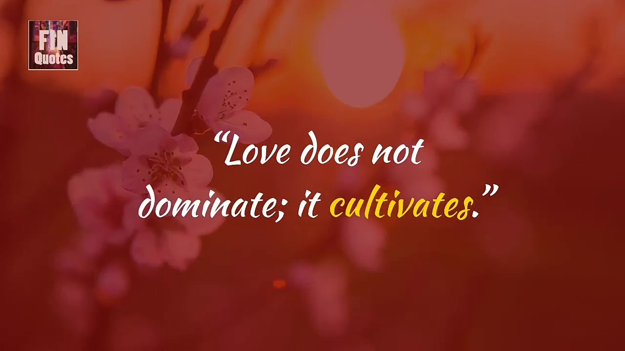 Beautiful Nasheed With Romantic Quotes For Life || Nasheed Without ...