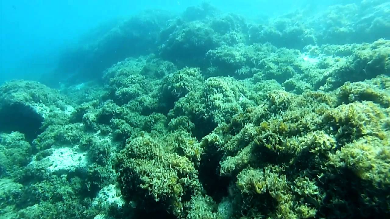 Scuba Diving just outside Kas, Turkey - YouTube