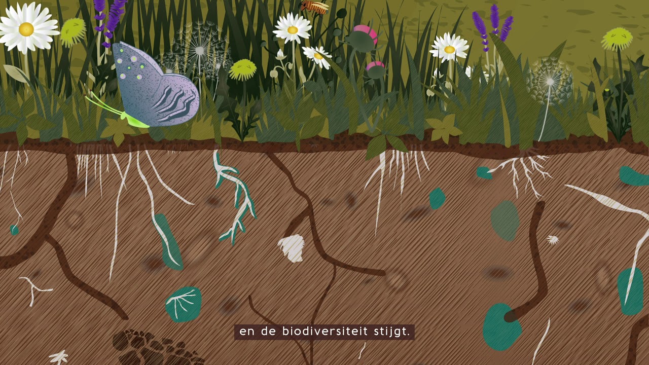 ANIMATIE 01 ORGANISCHE BEMESTING - YouTube