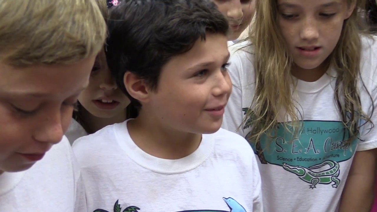 City of Hollywood - Summer Camps - YouTube
