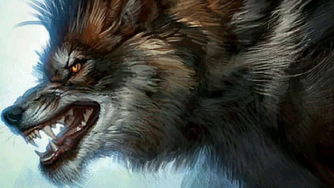 The Benefits of Shape Shifting - YouTube