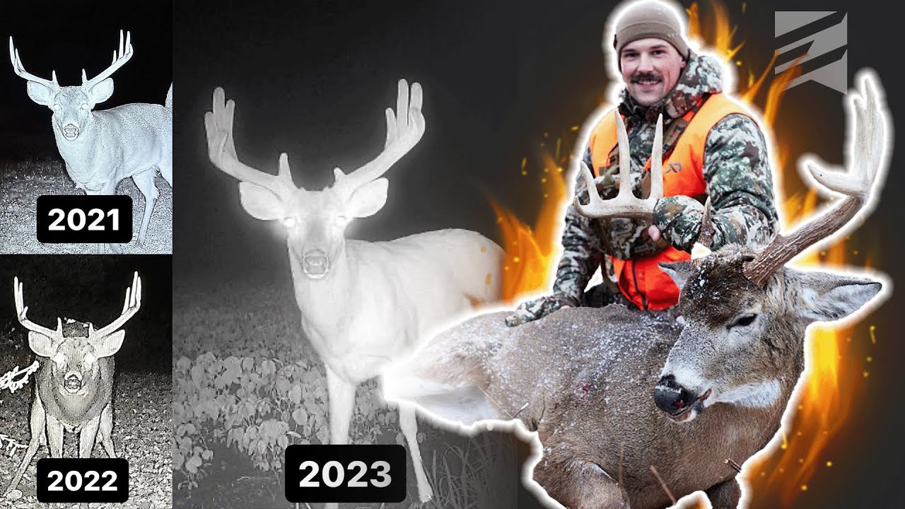 Lessons Learned From Hunting A Specific Deer Throughout An Entire ...