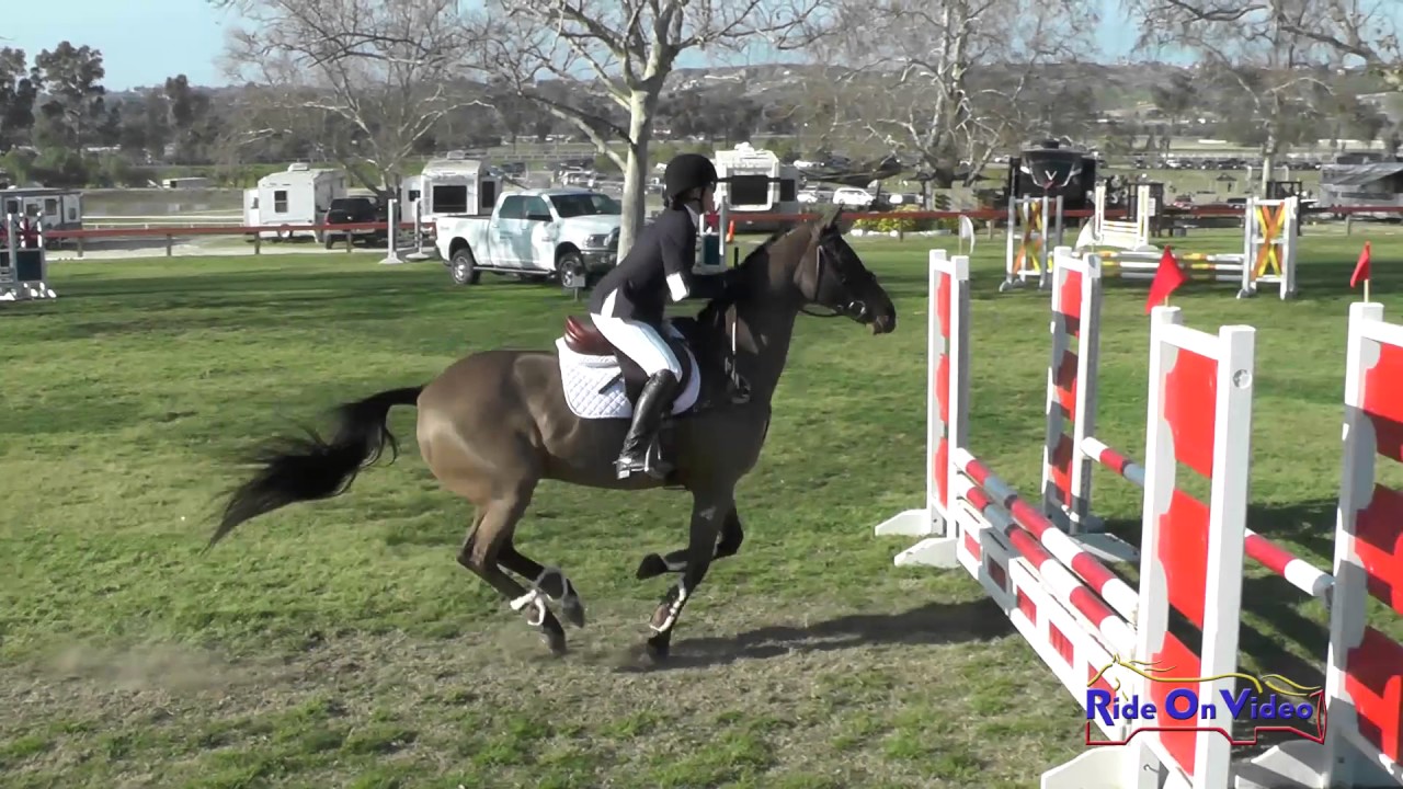 165S Gloria Roman on Good Time Charlie SR Beginner Novice Show Jumping ...