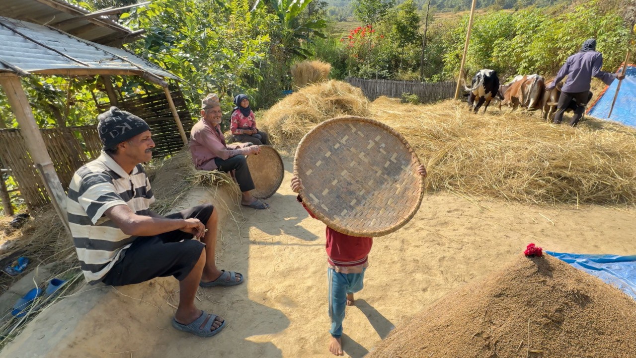 A Glimpse into the Beautiful Traditional Village Life | Happy Family ...