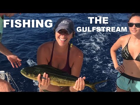 Fishing the Gulfstream, Bimini to Miami - S1:E43