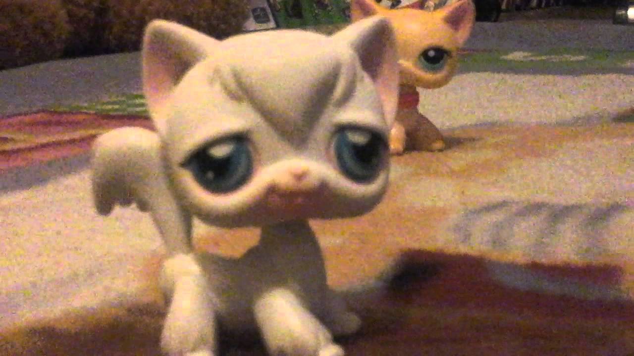 LPS: My New Angora/Longhair Cat #9 Has Arrived! - YouTube