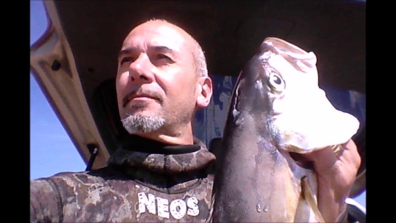 TOP 2016 "catture appaganti" by Angelo Nuzzo - YouTube