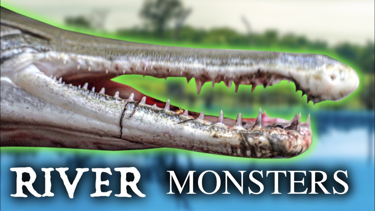 We CAUGHT the SCARY RIVER MONSTERS Fisherman HATE getting HOOKED into ...