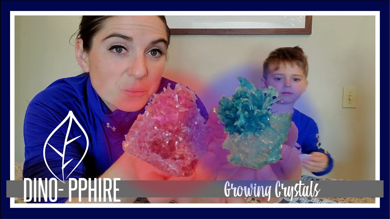 Growing Crystals for Dinosaur Adventures - YouTube