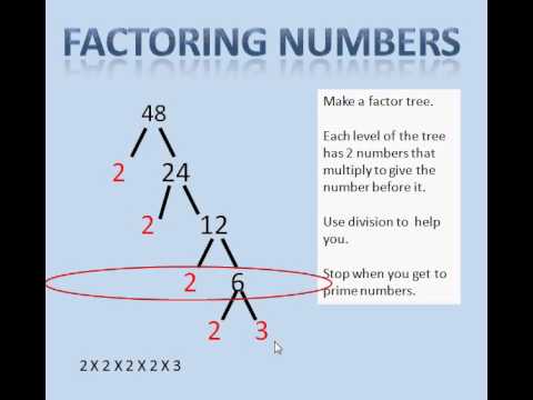Factoring Numbers Tutorial With a Factor Tree - YouTube