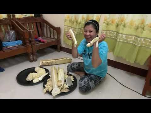 Pag Hihimay ng Ubod ng Buli ( Buri o Landang ) | PALM TREE - YouTube