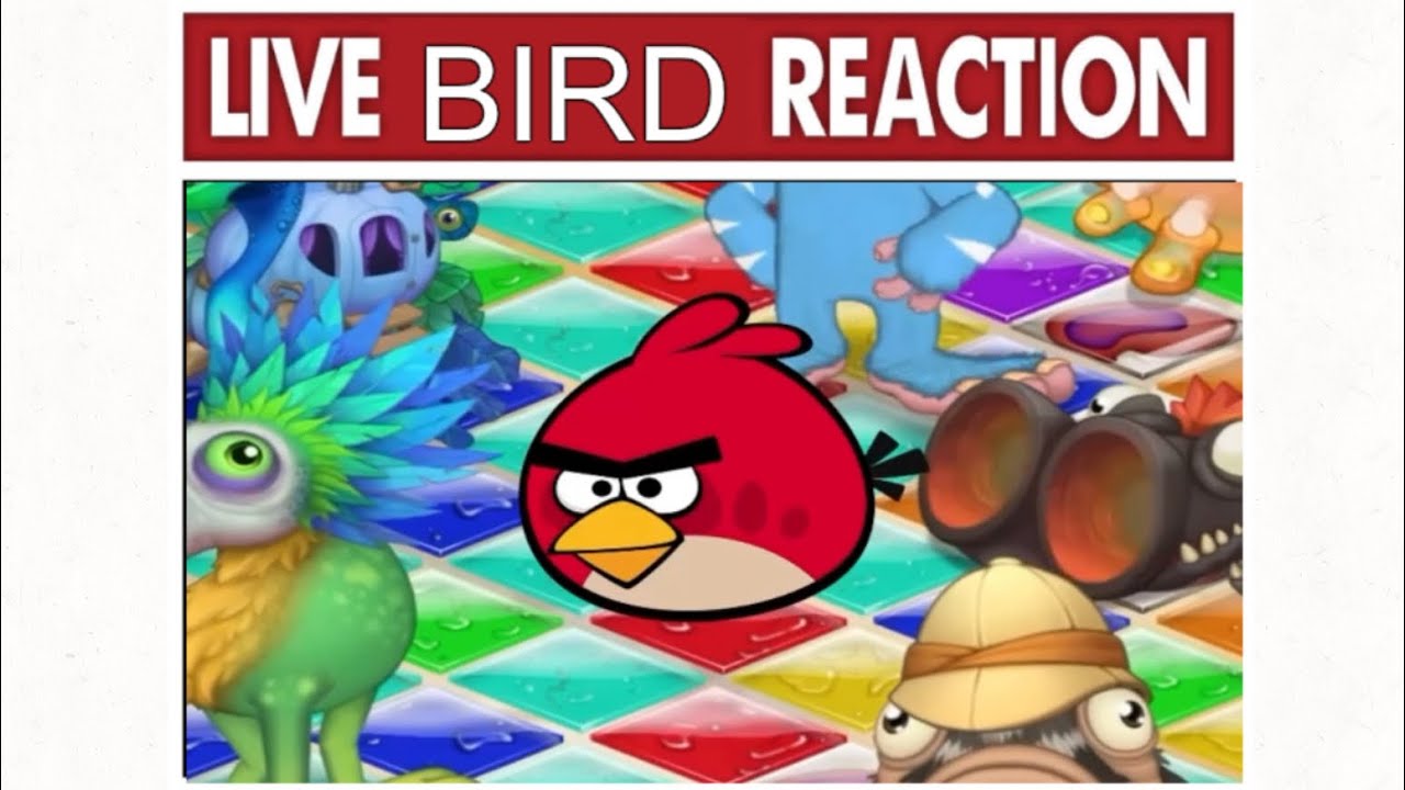 Angry bird on fire oasis!!! - YouTube