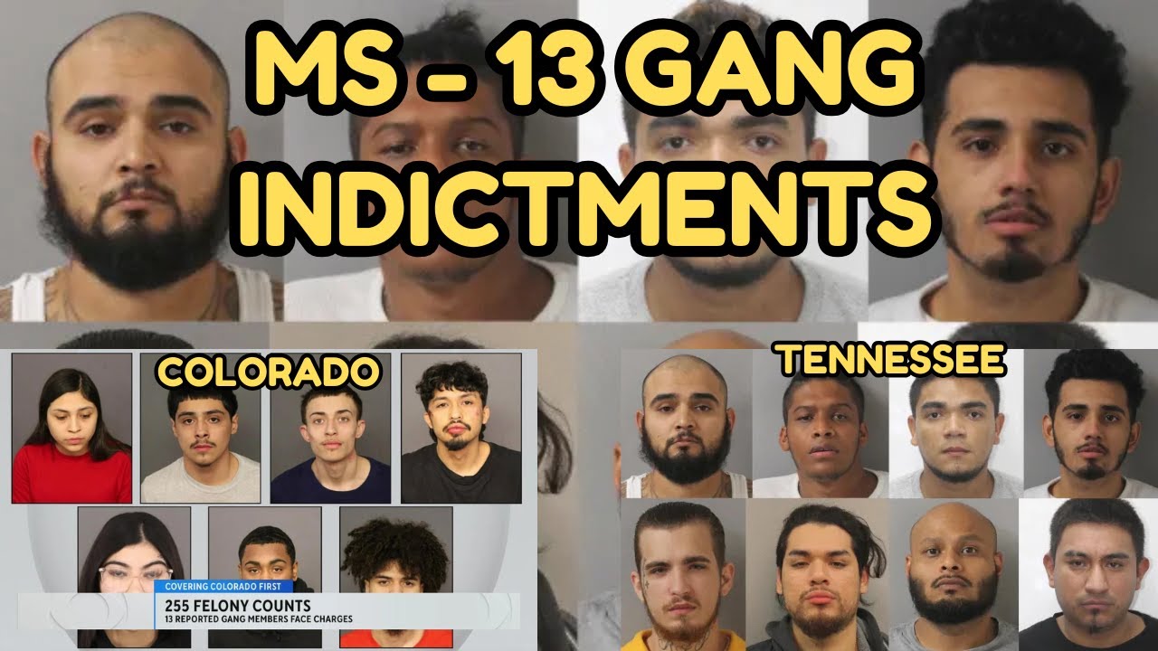 Ms-13 Gang Indictments Exposed: Across Long Island, Houston, North ...