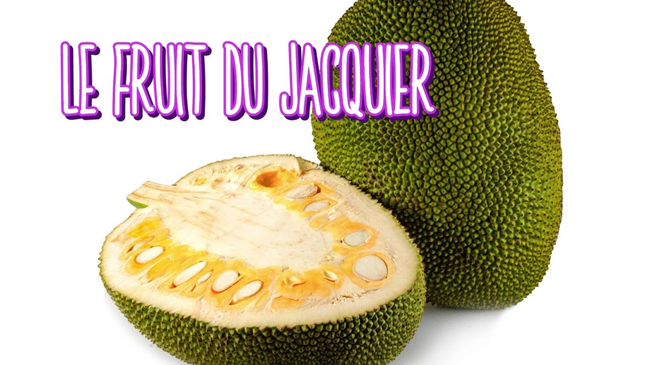 TOUT SUR LE JACKFRUIT ! - YouTube