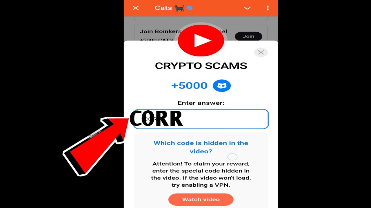 CRYPTO SCAMS Cats Video Code | CRYPTO SCAMS cats video code today 21 december - YouTube