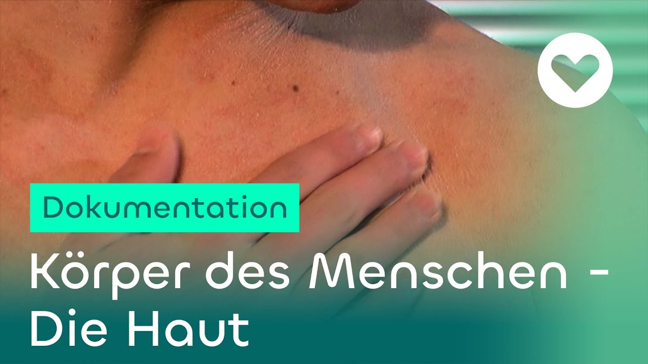 Körper des Menschen - Die Haut - YouTube